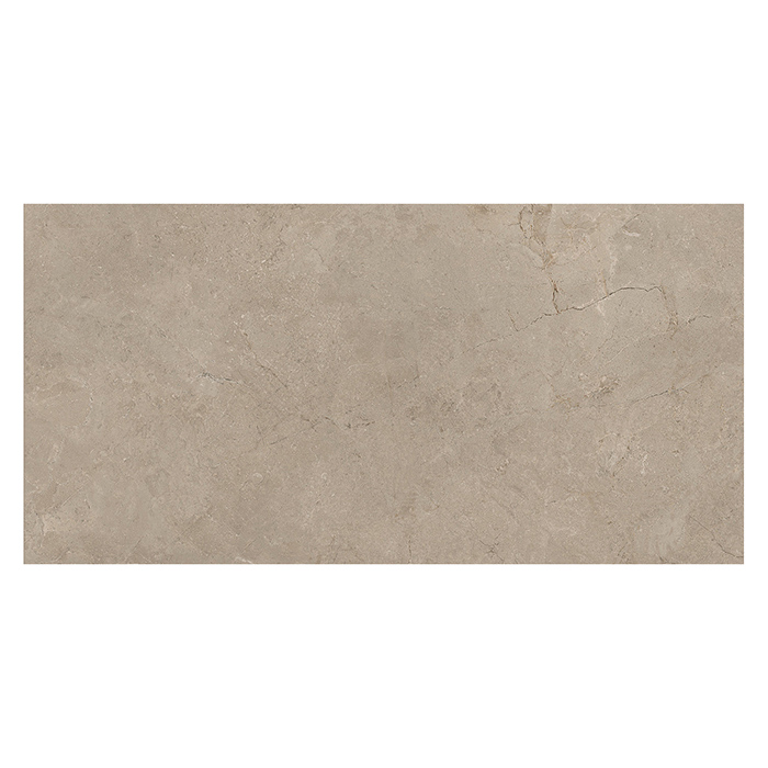 Emser Terramor - Fulvo 12" x 24" Porcelain Tile